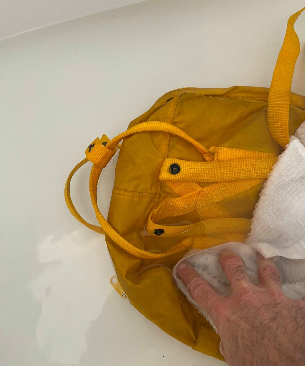 My Backpack Smells Like Mold…Now What? Our Simple 6 Step Guide To Clean ...